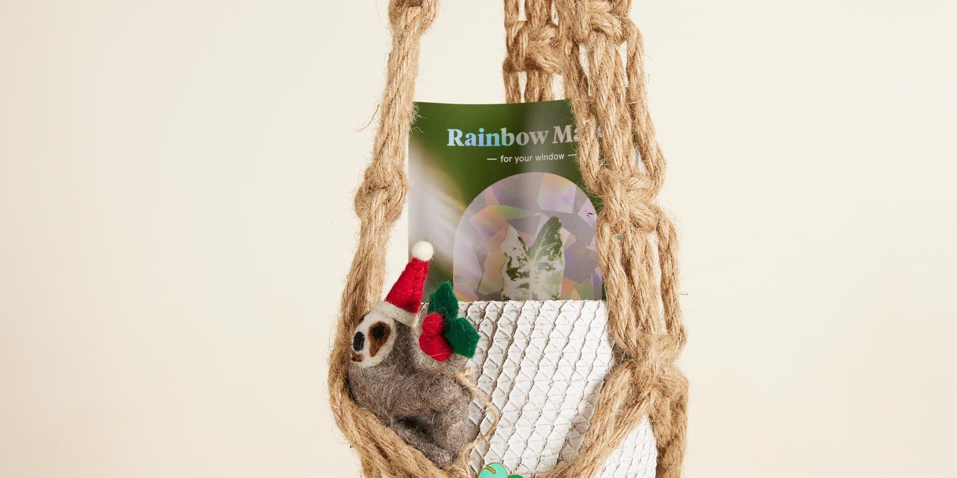 Introducing: Plant Circle Curated Holiday Gift Sets for Plant Lovers