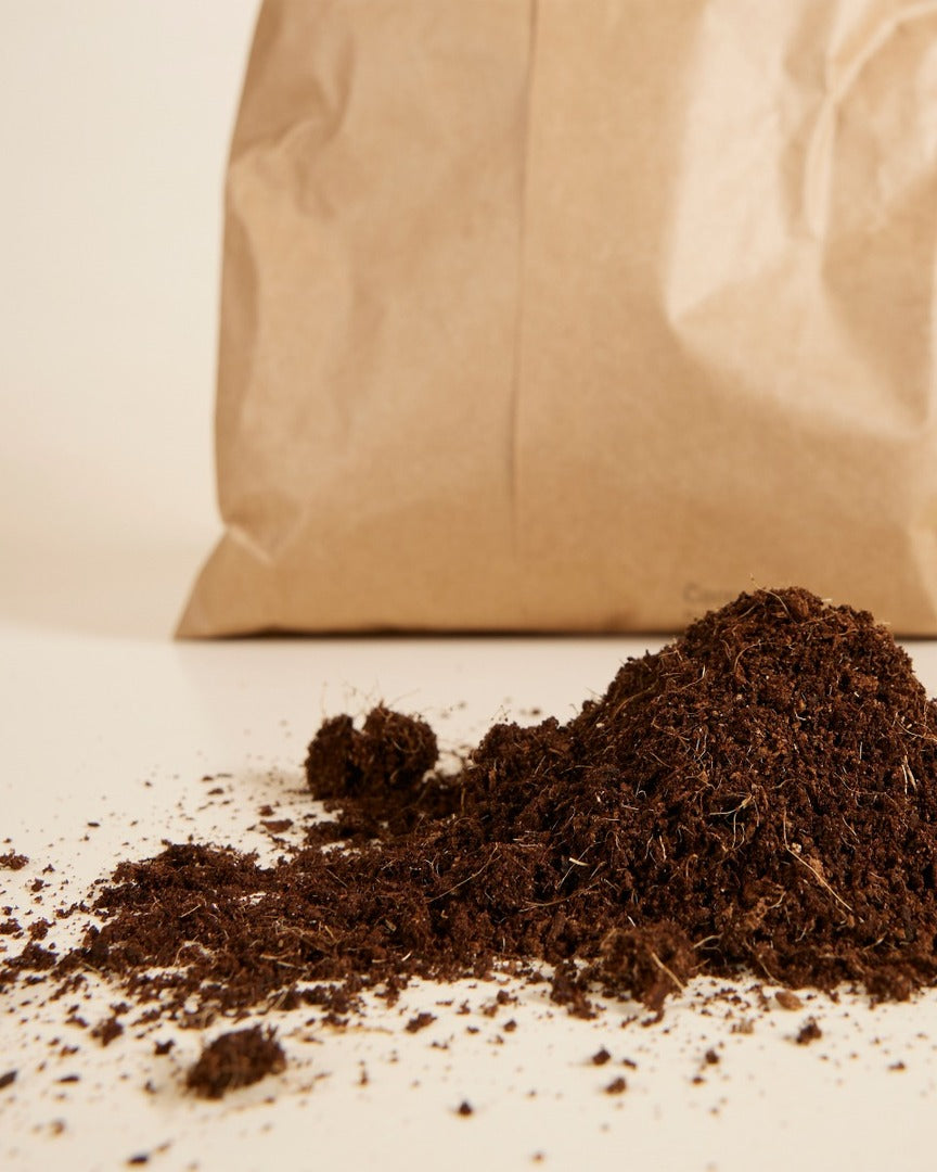 Cocopeat Substrate Soil Base (Peat-Free) – Plant Circle